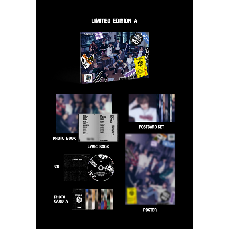 &TEAM - &TEAM - First Howling: NOW Limited Edition A CD + Book ...