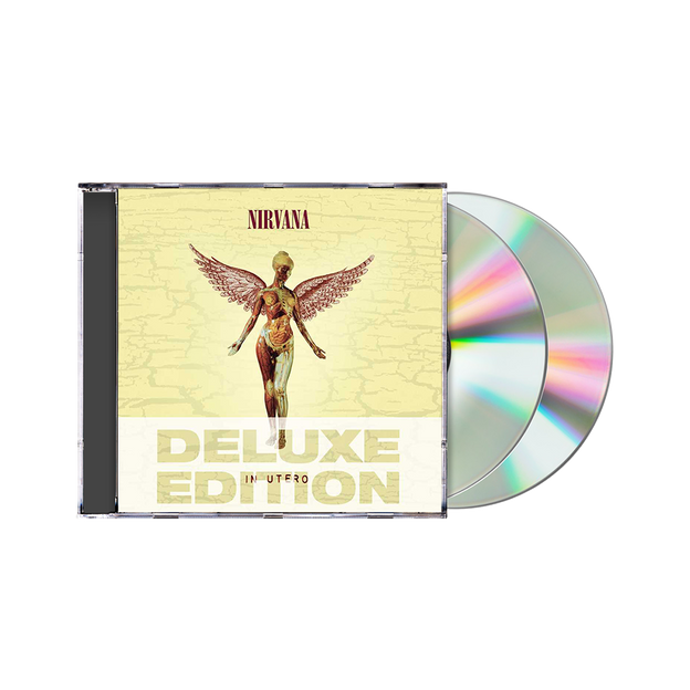 Nirvana Vinyl, CDs, & Box Sets – uDiscover Music