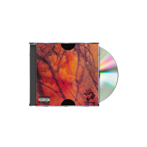 ScHoolboy Q - Schoolboy Q - Blank Face LP CD - uDiscover Music